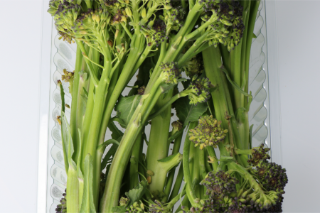 Mini broccoli | Van Laethem